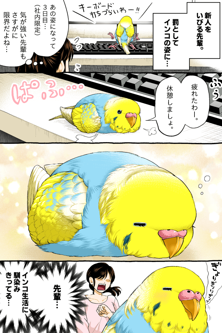 【4コマ漫画by初丸うげべそ】第6話 けっこう馴染んでる。|いじわる先輩、インコになった